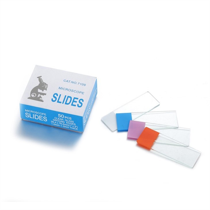 Lab Use Histology Biopsy Different Color Plastic Disposable Tissue ...